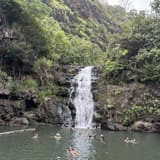 Waimea Valley Trail, Oahu, Hawaii - 1,726 Reviews, Map | AllTrails