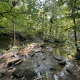 Nine Penny Branch Loop, Indiana - 632 Reviews, Map | AllTrails