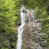 Mingo Falls Trail, North Carolina - 1,854 Reviews, Map | AllTrails