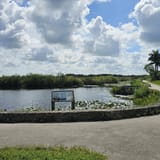 Anhinga Trail, Florida - 1,873 Reviews, Map | AllTrails