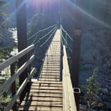 Tahoma Creek Suspension Bridge, Washington - 118 Reviews, Map | AllTrails