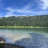 Dewey Lake Trail, Washington - 445 Reviews, Map | AllTrails