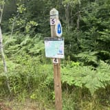Jordan Valley Pathway, Michigan - 795 Reviews, Map | AllTrails
