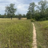 Jordan Valley Pathway, Michigan - 795 Reviews, Map | AllTrails