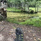 Jordan Valley Pathway, Michigan - 795 Reviews, Map | AllTrails