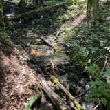 Jordan Valley Pathway, Michigan - 795 Reviews, Map | AllTrails