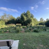 Puyallup Loop Trail, Washington - 1,414 Reviews, Map | AllTrails