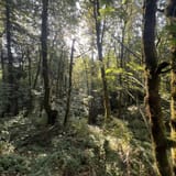 Puyallup Loop Trail, Washington - 1,414 Reviews, Map | AllTrails