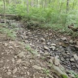 Cascade Falls Loop Trail, Massachusetts - 875 Reviews, Map | AllTrails