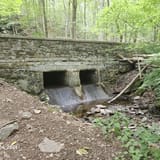 Cascade Falls Loop Trail, Massachusetts - 875 Reviews, Map | AllTrails