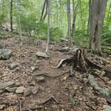 Cascade Falls Loop Trail, Massachusetts - 875 Reviews, Map | AllTrails
