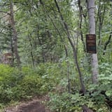 Armstrong Trail to Dawns Trail Loop, Utah - 3,113 Reviews, Map | AllTrails