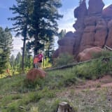 Red Rocks Trail, Colorado - 1,252 Reviews, Map | AllTrails