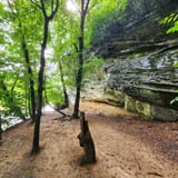 Raven Rock Loop Trail, North Carolina - 2,811 Reviews, Map | AllTrails