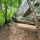 Raven Rock Loop Trail, North Carolina - 2,817 Reviews, Map | AllTrails