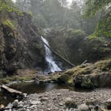 Little Mashel Falls Trail via Bud Blancher Trail, Washington - 4,135 ...