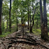 Waimano Falls Trail, Oahu, Hawaii - 5,272 Reviews, Map | AllTrails