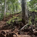 Waimano Falls Trail, Oahu, Hawaii - 5,313 Reviews, Map | AllTrails