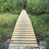 Econlockhatchee River Trail, Florida - 449 Reviews, Map | AllTrails