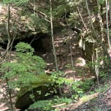 Turkey Run Outer Loop, Indiana - 602 Reviews, Map | AllTrails