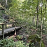 Turkey Run Outer Loop, Indiana - 634 Reviews, Map | AllTrails