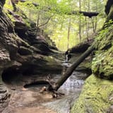 Turkey Run Outer Loop, Indiana - 602 Reviews, Map | AllTrails