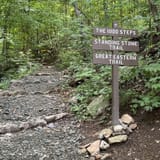 Thousand Steps, Pennsylvania - 1,311 Reviews, Map | AllTrails