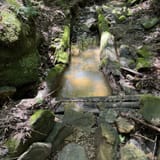 Alcorn Branch Falls, Kentucky - 23 Reviews, Map | AllTrails
