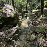 Alcorn Branch Falls, Kentucky - 22 Reviews, Map | AllTrails