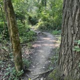 Palos Trail System: Black Trail, Illinois - 1,224 Reviews, Map | AllTrails