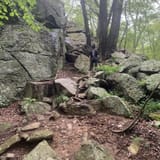 Reeves Brook Loop Trail, New York - 4,832 Reviews, Map | AllTrails