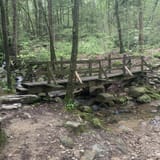 Reeves Brook Loop Trail, New York - 4,832 Reviews, Map | AllTrails