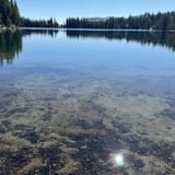 McLeod Lake Trail, California - 1,195 Reviews, Map | AllTrails