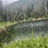 Spider Lake Trail, Washington - 240 Reviews, Map | AllTrails