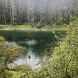 Spider Lake Trail, Washington - 240 Reviews, Map | AllTrails