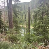 Spider Lake Trail, Washington - 240 Reviews, Map | AllTrails