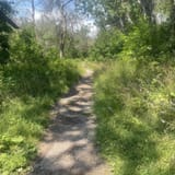 Chester Park Loop, Minnesota - 1,070 Reviews, Map | AllTrails