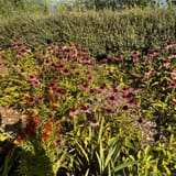 Chain of Lakes Loop , Minnesota - 1,399 Reviews, Map | AllTrails