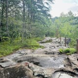 Foster Falls Climbers Loop Trail, Tennessee - 2,073 Reviews, Map ...