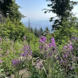 Bogus Basin Loop Trail, Idaho - 251 Reviews, Map | AllTrails