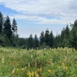 Bogus Basin Loop Trail, Idaho - 255 Reviews, Map | AllTrails