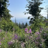 Bogus Basin Loop Trail, Idaho - 255 Reviews, Map | AllTrails