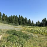 Bogus Basin Loop Trail, Idaho - 251 Reviews, Map | AllTrails