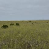 Long Beach Boardwalk and Discovery Trail Loop, Washington - 117 Reviews ...