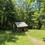 Maddron Bald Trail to Albright Grove Loop, Tennessee - 1,019 Reviews ...