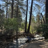 Dry Pond Loop, Nevada - 1,683 Reviews, Map | AllTrails