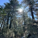 Dry Pond Loop, Nevada - 1,645 Reviews, Map | AllTrails