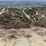 Runyon Canyon Trail, California - 8,161 Reviews, Map | AllTrails