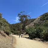 Runyon Canyon Trail, California - 8,161 Reviews, Map | AllTrails