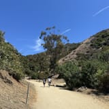 Runyon Canyon Trail, California - 8,083 Reviews, Map | AllTrails